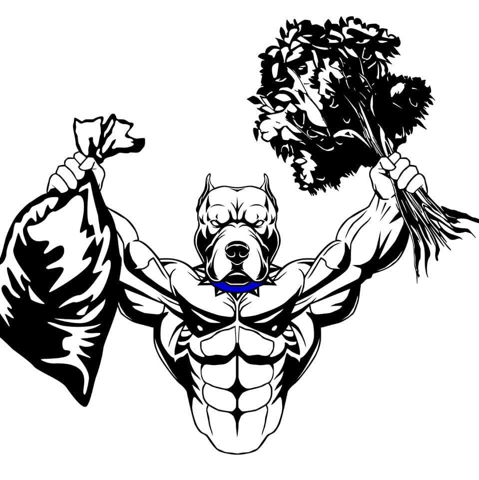 Home - Blue Collar Tree and Junk Removal